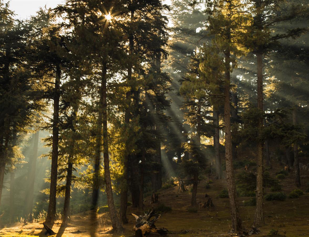 Shaheed Gali (Sirikot) ~ AJK tours | AJK trips | Tours and trips ...