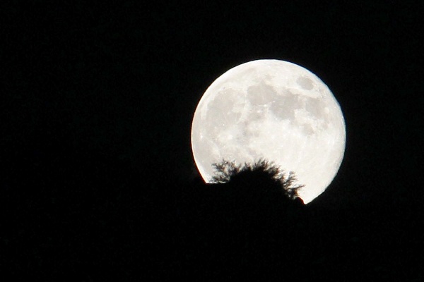 Shutterbug Generations: Full Moon Series - Days 243-245
