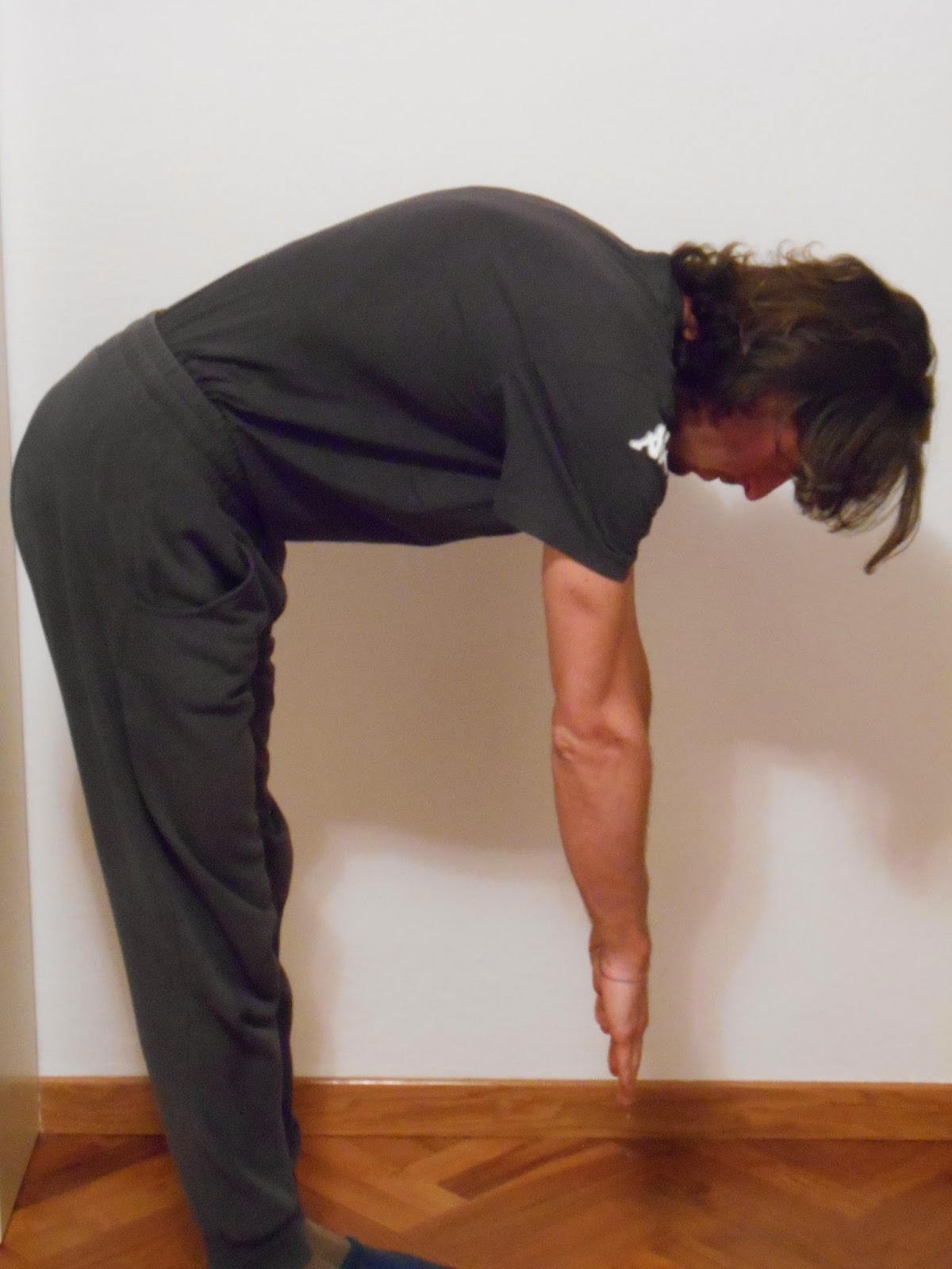 De Arte Gymnastica: Esercizi di stiramento muscolo-tendineo.