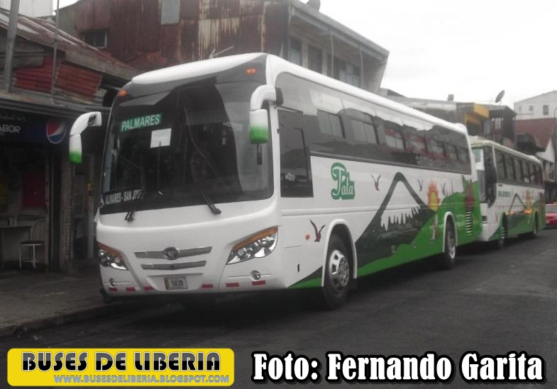 Buses de Liberia: Galeria 02/12