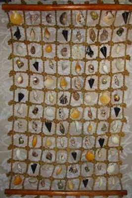 Beautiful Seashell Hangers