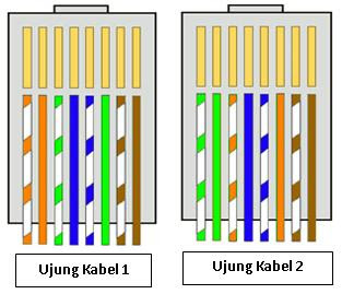 Langkah - Langkah Crimping Kabel | Materi Teknik Komputer Jaringan Kelas XI