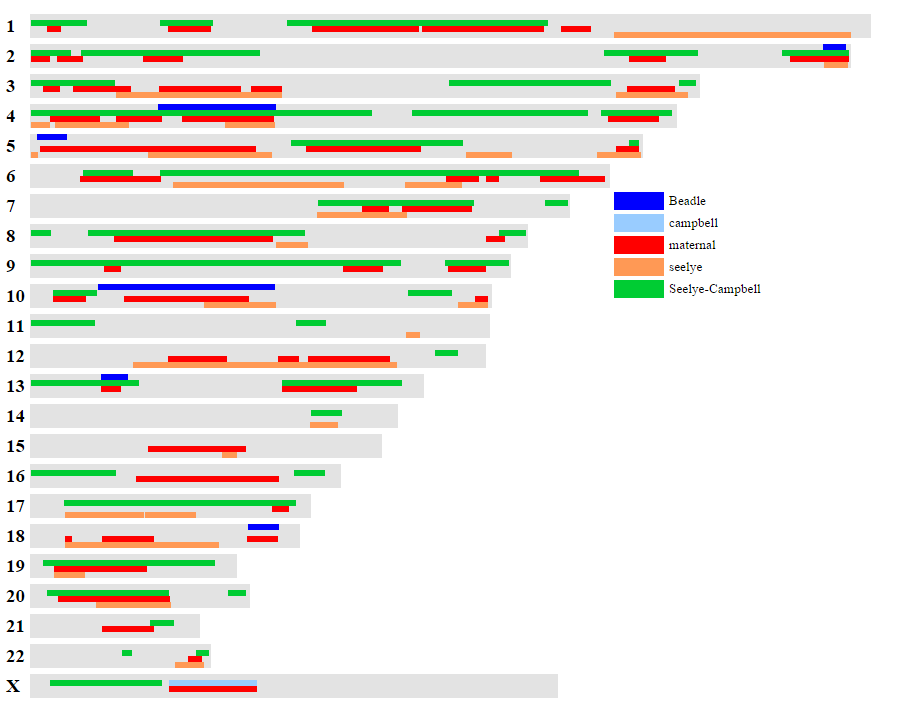 Thompson Hunt: Autosomal DNA Mile Marker