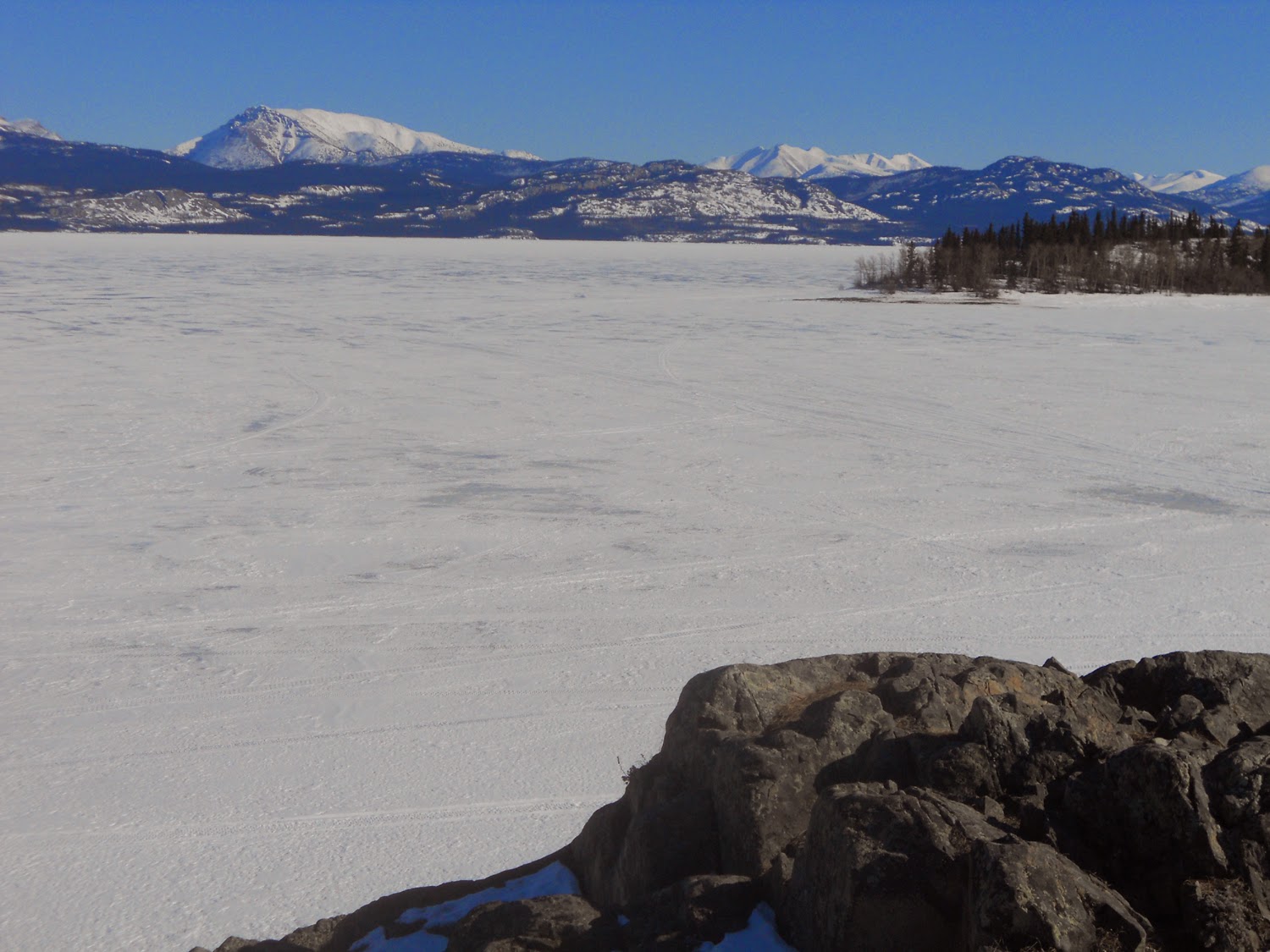 YukonNewsletter: Lake Laberge & Yukon BBQ