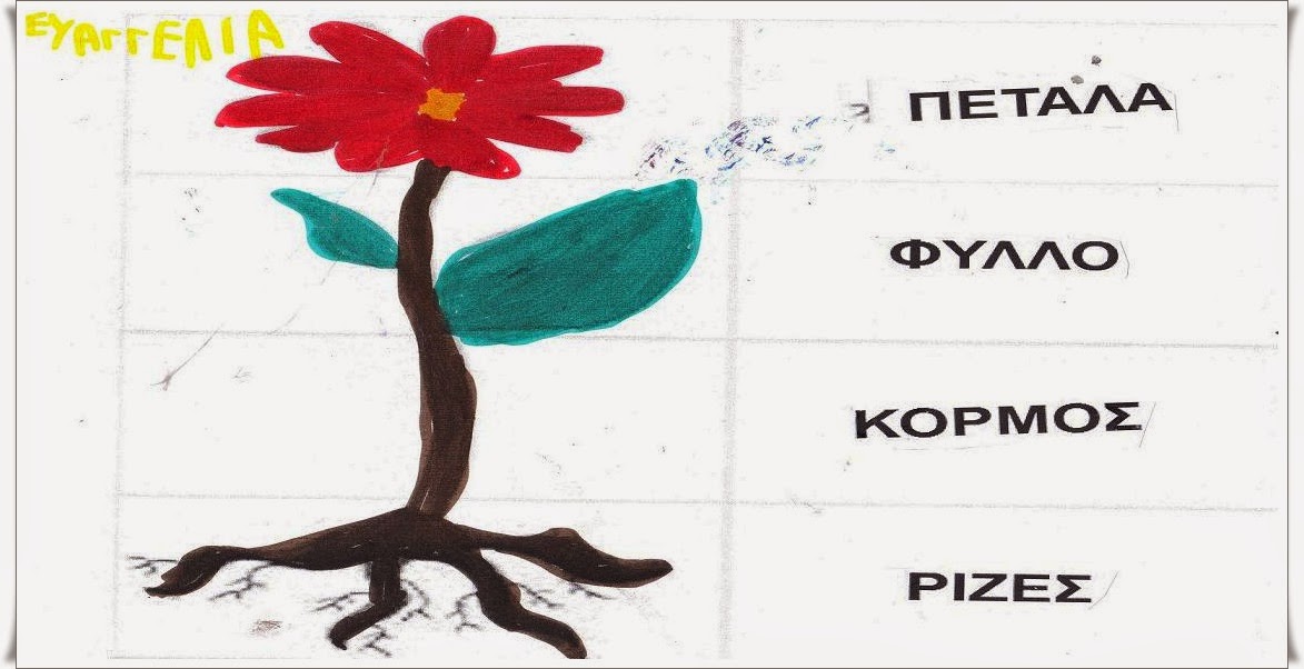 Χαρούμενες φατσούλες στο νηπιαγωγείο: ΤΑ ΜΕΡΗ ΤΟΥ ΛΟΥΛΟΥΔΙΟΥ