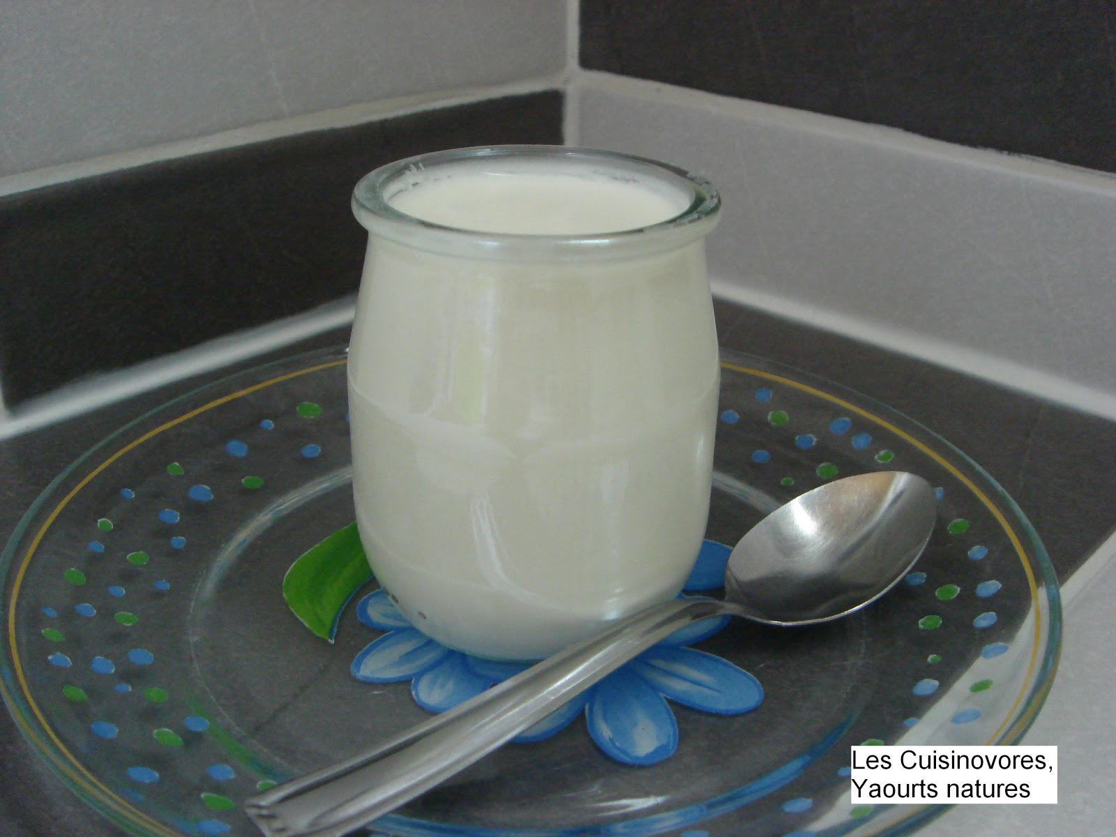 Les Cuisinovores: Yaourts natures