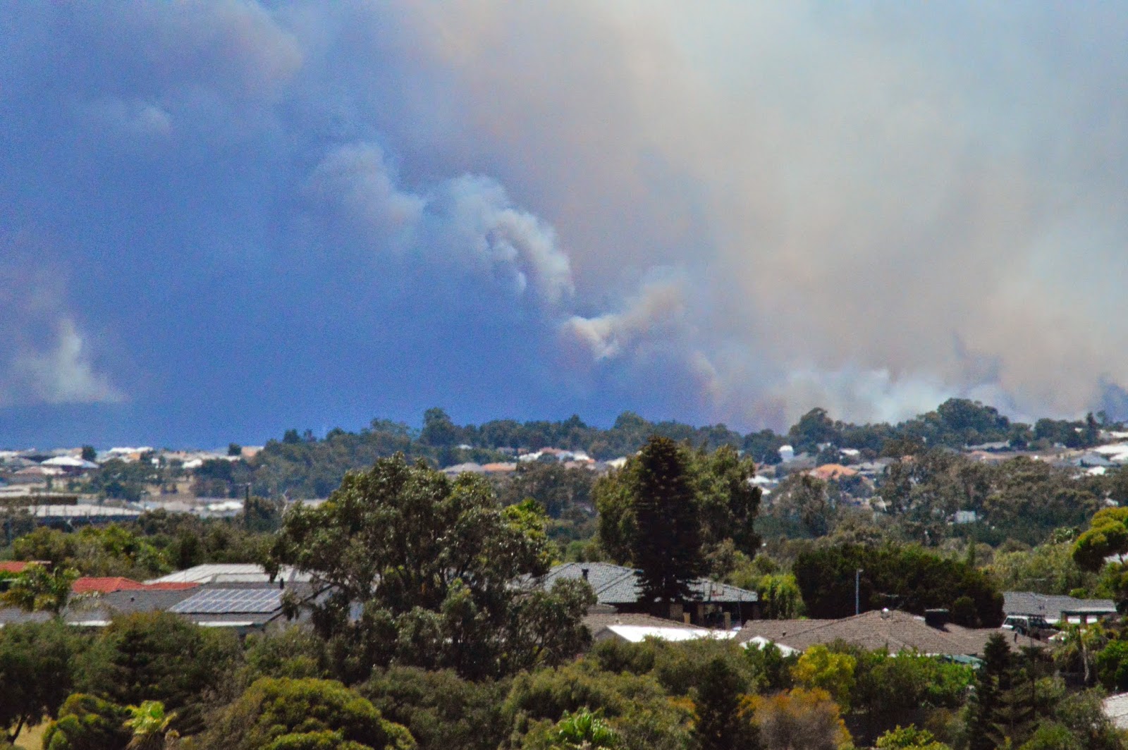 Fish out of water: Bullsbrook Bushfire