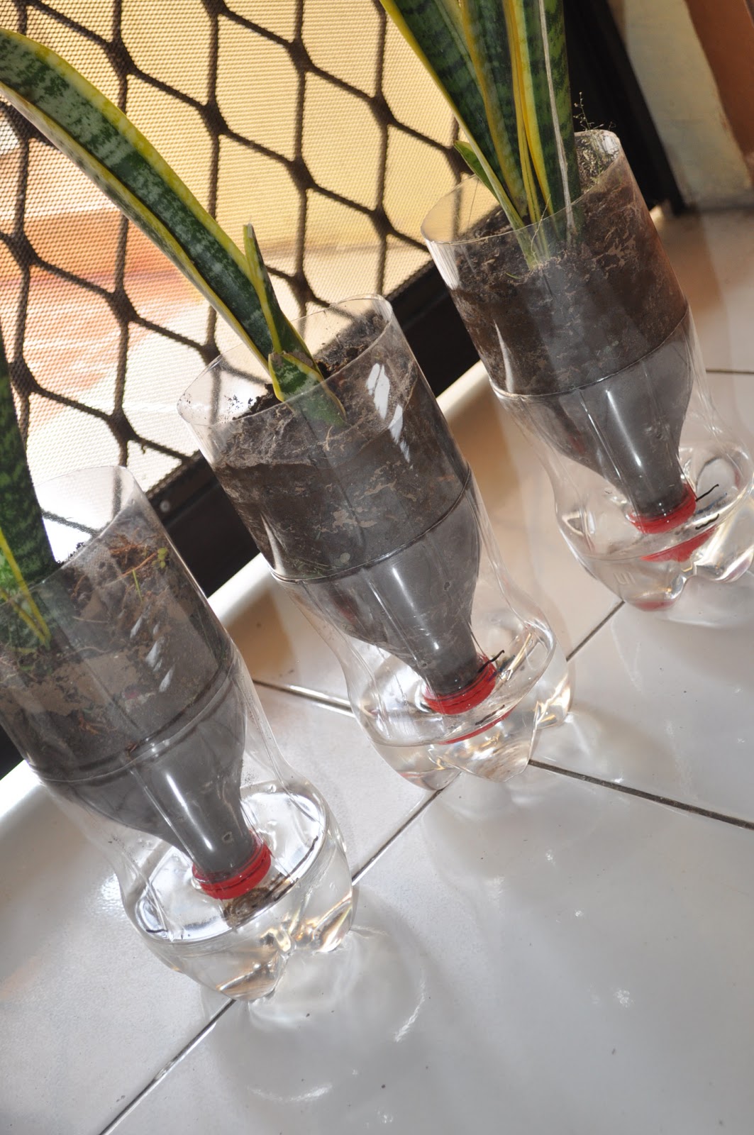 POT TANAMAN DARI BOTOL BEKAS (GO GREEN) - Teknokrat sang juara