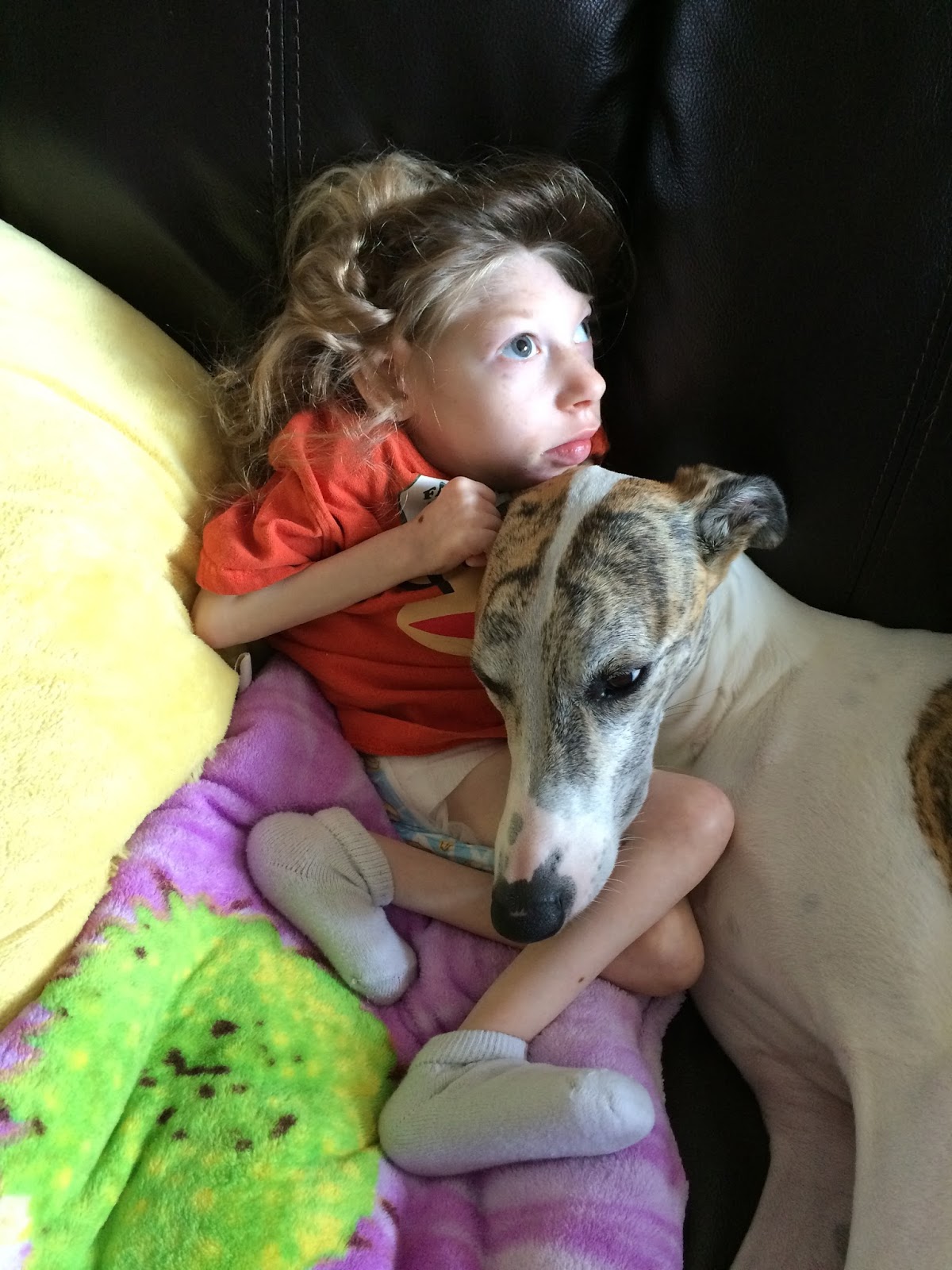 The Hartley Hooligans: Lola