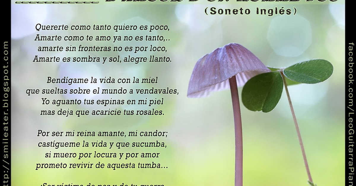 Ejemplo De Un Soneto De 14 Versos - Opciones de Ejemplo