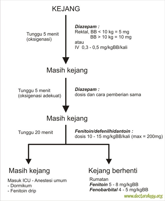 ChyntiaBlog: Kejang Demam pada Anak