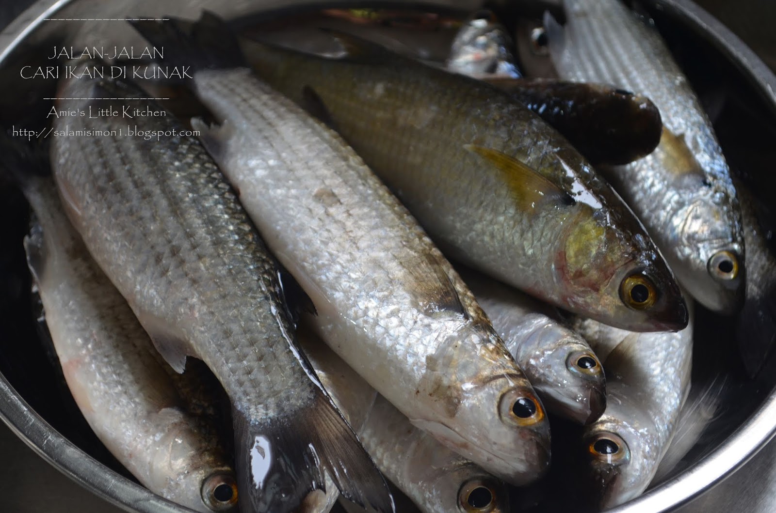 Jalan-Jalan Cari Ikan di Kunak - Amie's Little Kitchen