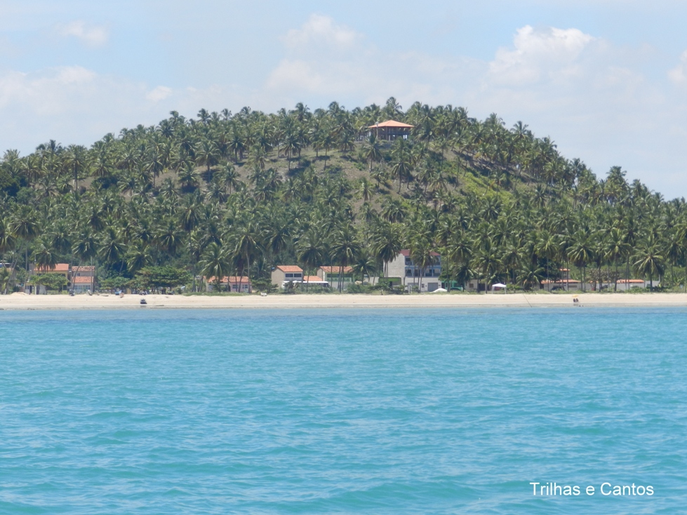 Japaratinga: como é o mergulho nas piscinas naturais | Trilhas e Cantos