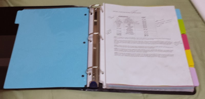 MagicPecanSlinky: Sheet Protector Dividers