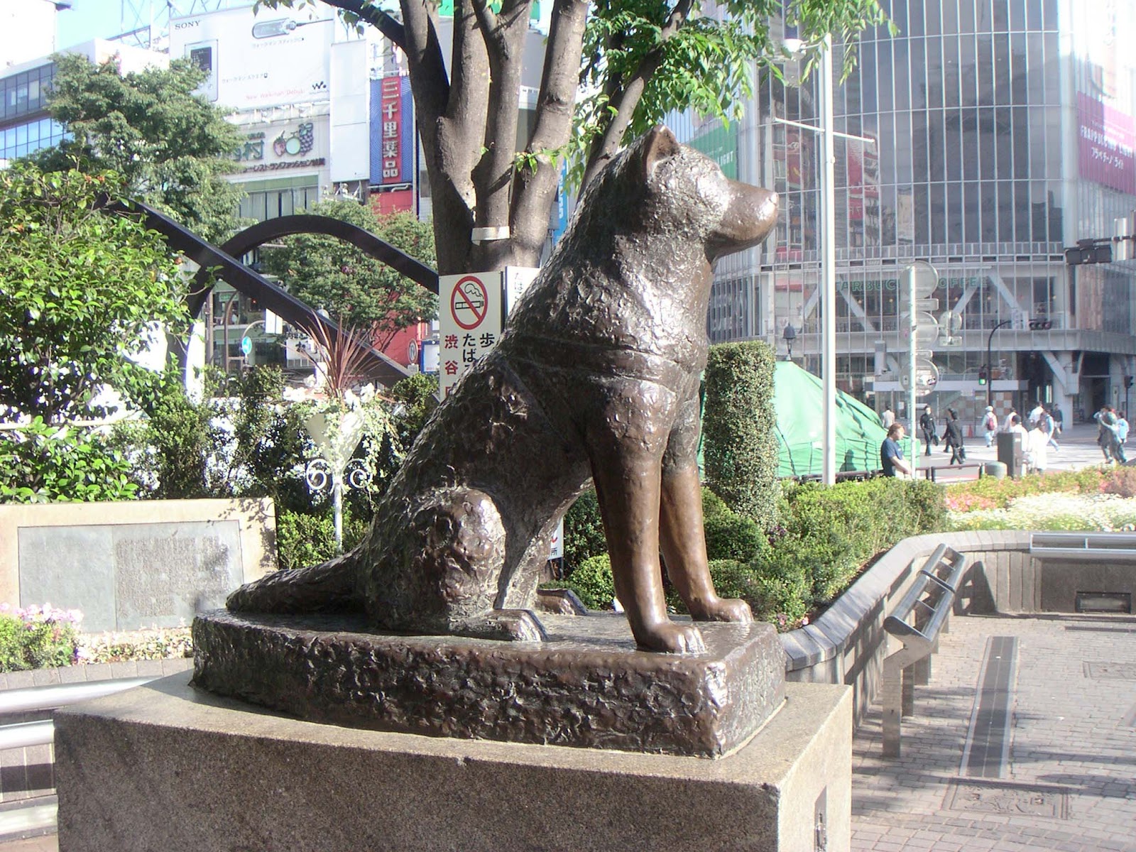 Mis Pequeñas Cosas: Hachiko. Una historia real de lealtad y fidelidad.