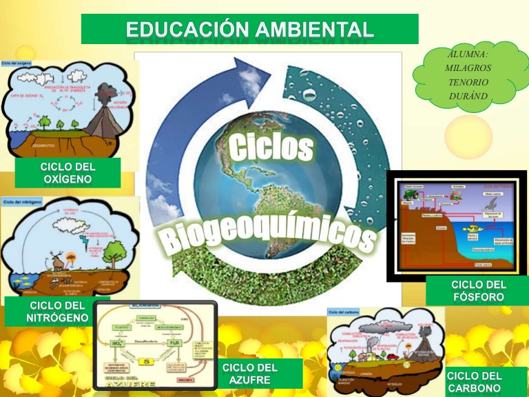 Blog ETEC: Ciclos Biogeoquímicos
