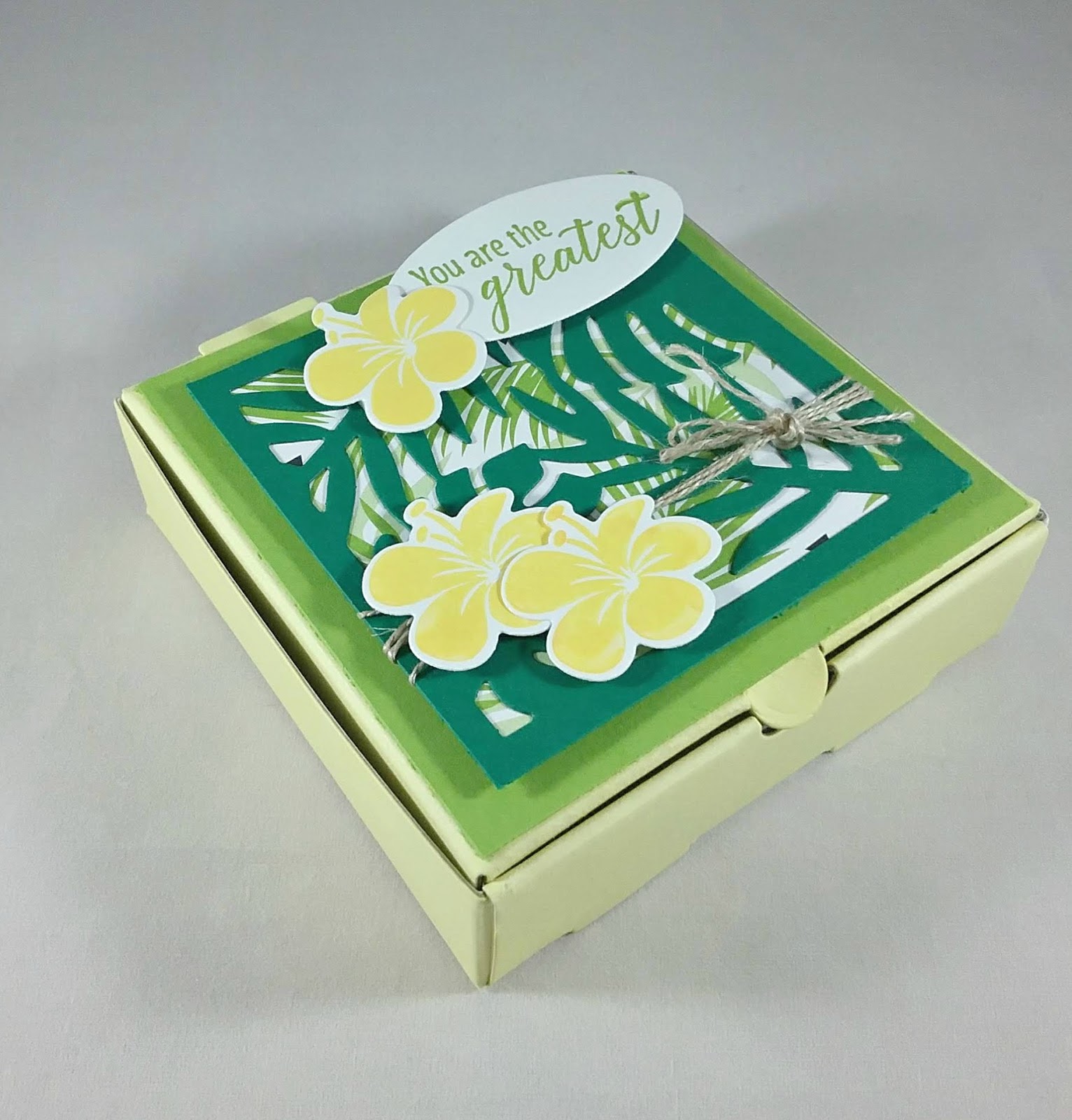 Windy's Wonderful Creations: Greatest Tropical Box