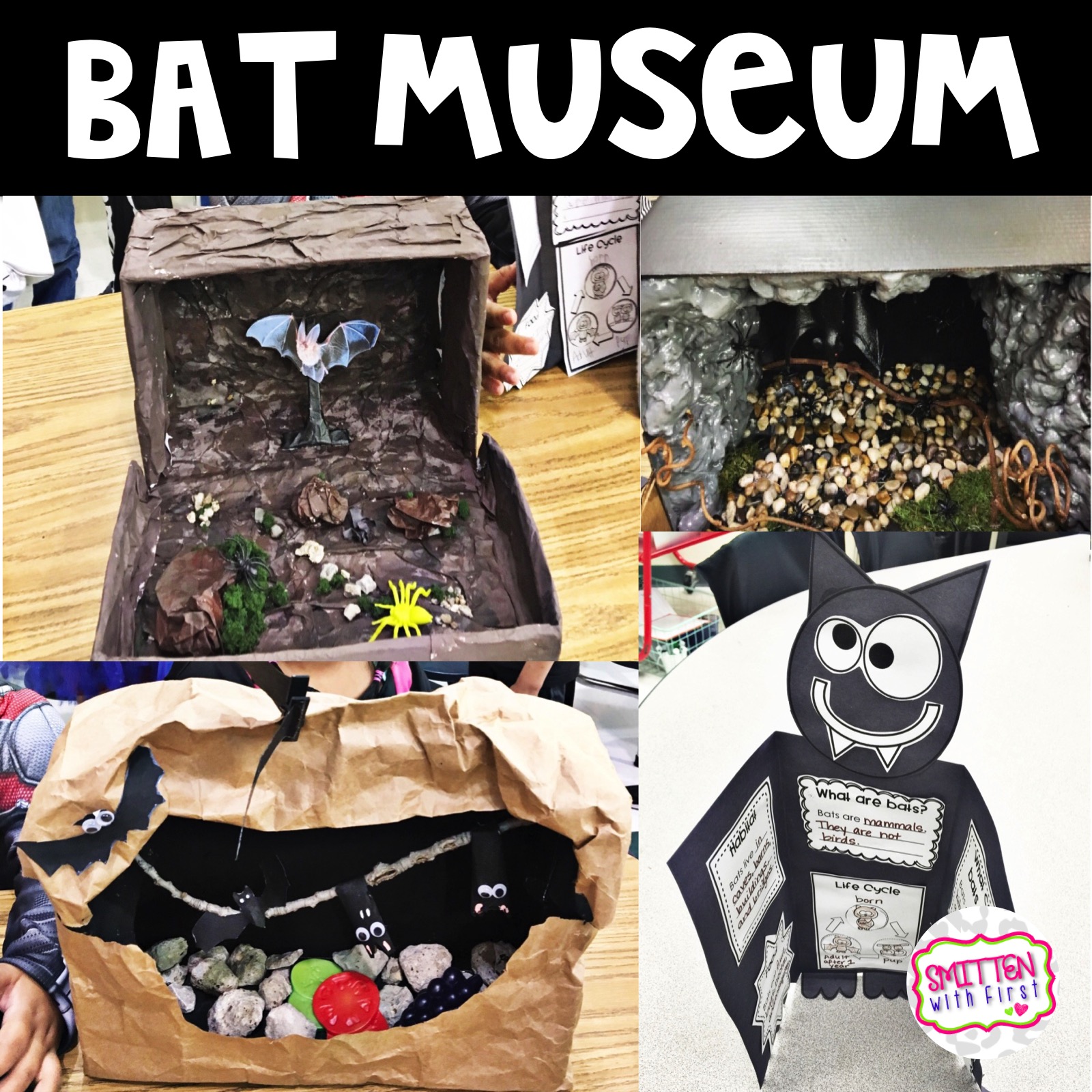 Bat Research FREEBIE, Bat Diorama, All About Bats