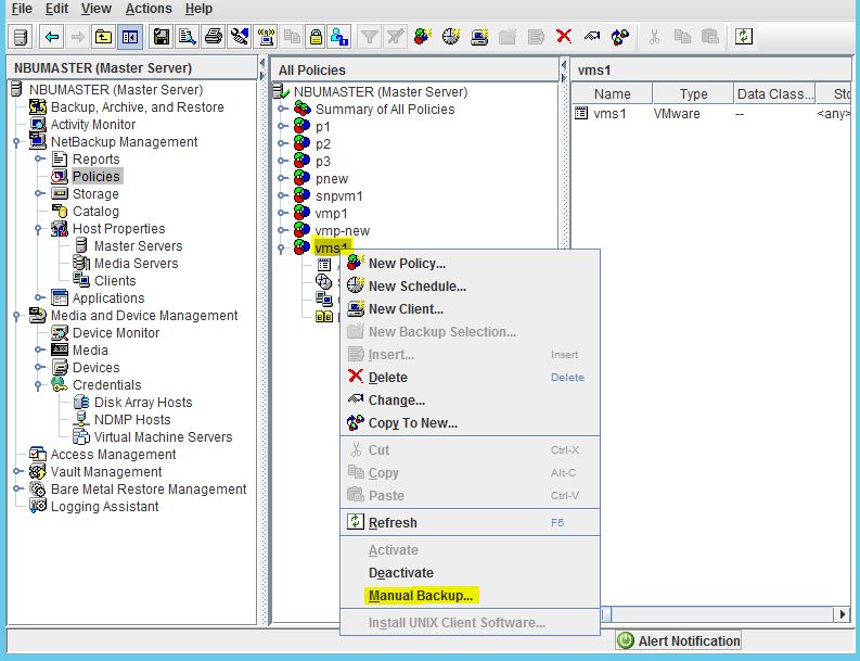 Veritas NetBackup - Step by Step Whitepaper for Configuring VMware ...