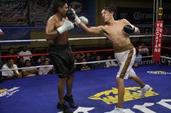 √ 12 Teknik Dasar Tinju Beserta Gambarnya