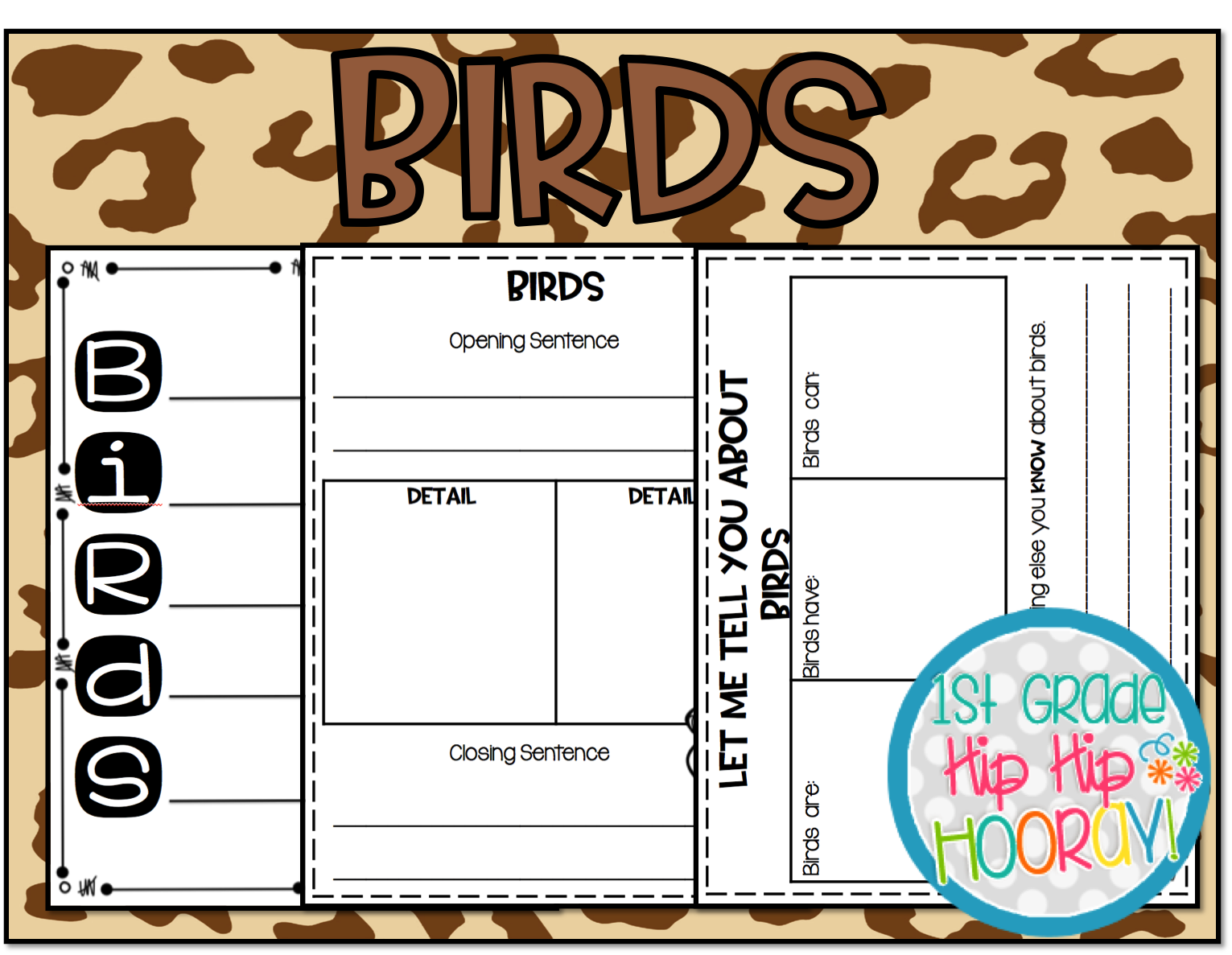 1st Grade Hip Hip Hooray!: Let's Explore Birds