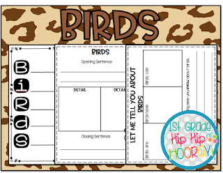 1st Grade Hip Hip Hooray!: Let's Explore Birds