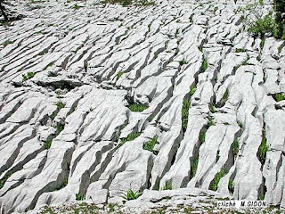 GEOMORFOLOGÍA: MODELADO KÁRSTICO
