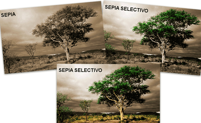 Barahona Photoshop, trucos y tutoriales explicados paso a paso: Tono ...