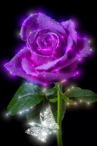 Gif_ROSES_ Animated Images_2_(20 item) | Joy Design Studio