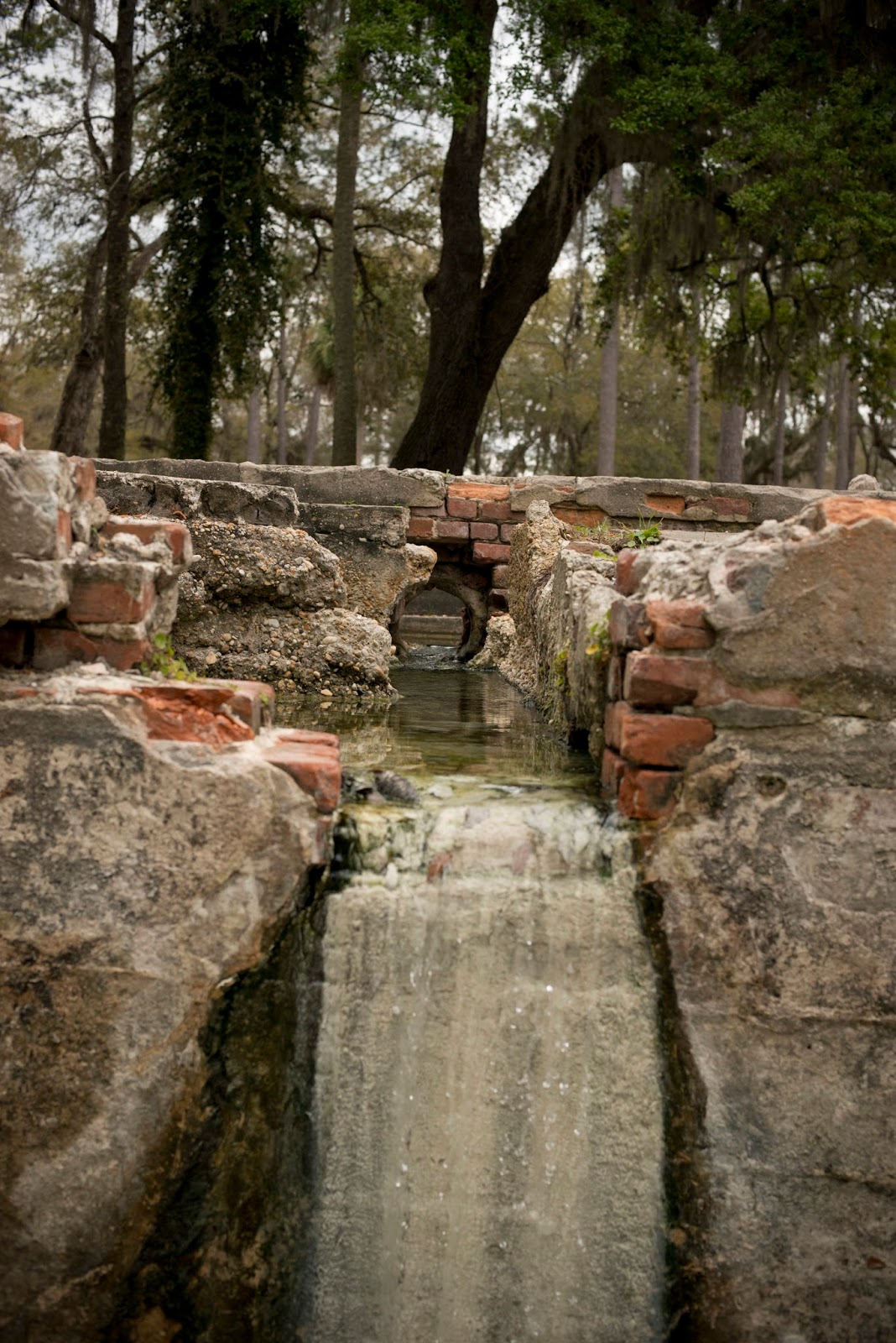 Old Florida: Hunting for Relics of a Golden Age