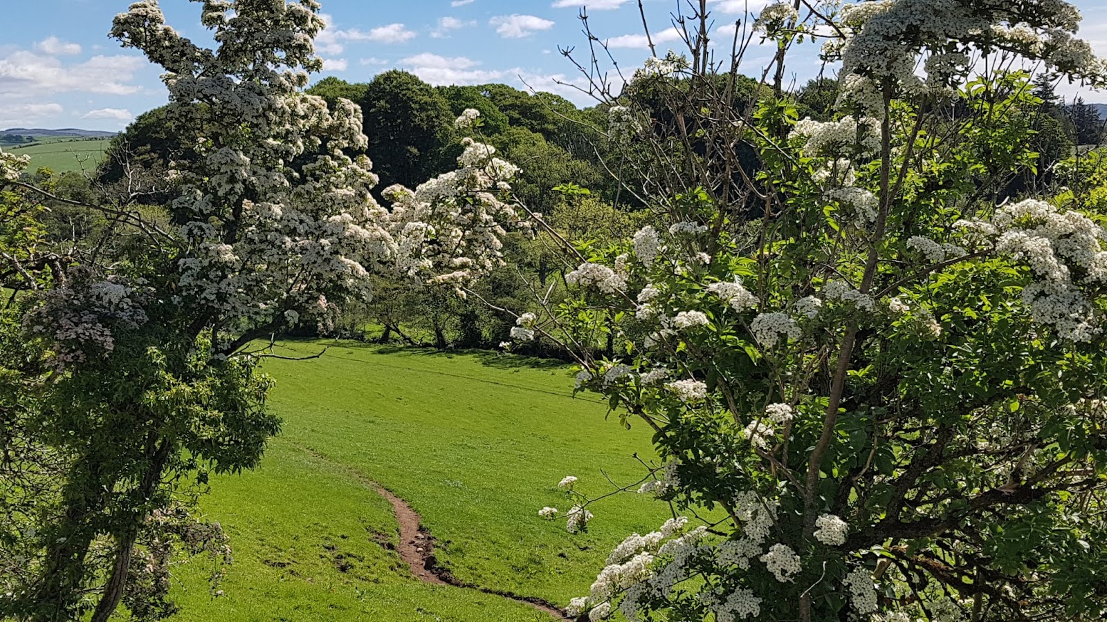 Casting Your Clouts (Because the May is Certainly Out!)