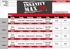 Insanity max 30 worksheets - logamela