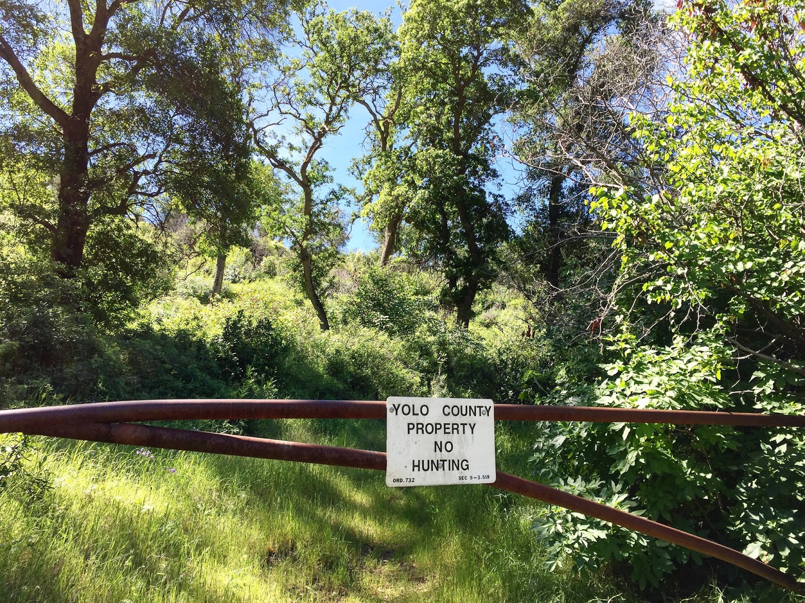 Run-Hike-Play: Valley Vista Trail Hike with the Fam