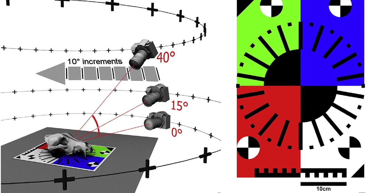 Sciency Thoughts: Photogrammetry as a tool in Morphometric Analysis.