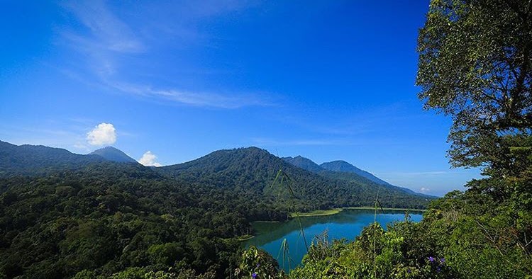 Desa Munduk, Desa Di Atas Awan Versi Bali - Update Pengetahuanmu Desa Munduk, Desa Di Atas Awan Versi Bali - Update Pengetahuanmu