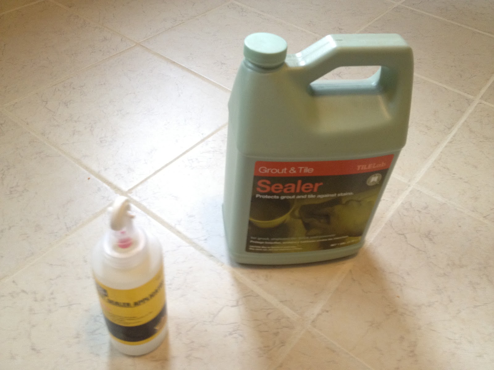 Charlie and his human: From inspiration to fruition: The kitchen project