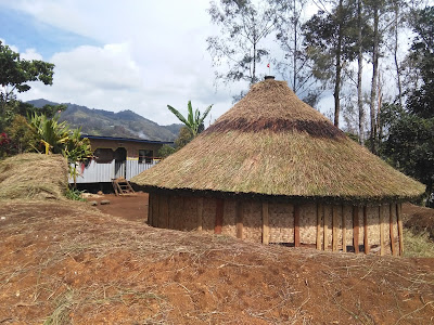 THE ENPOSE PNG: Back to the roots-up in the Highlands of Papua New ...