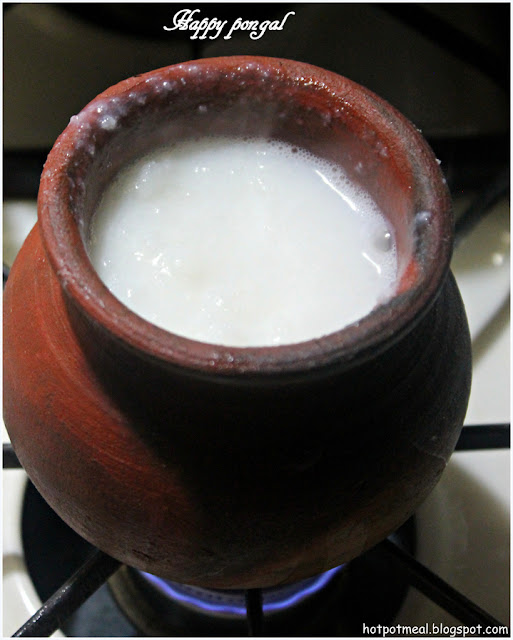 Hot pot cooking: Pongal rice | Milk pongal