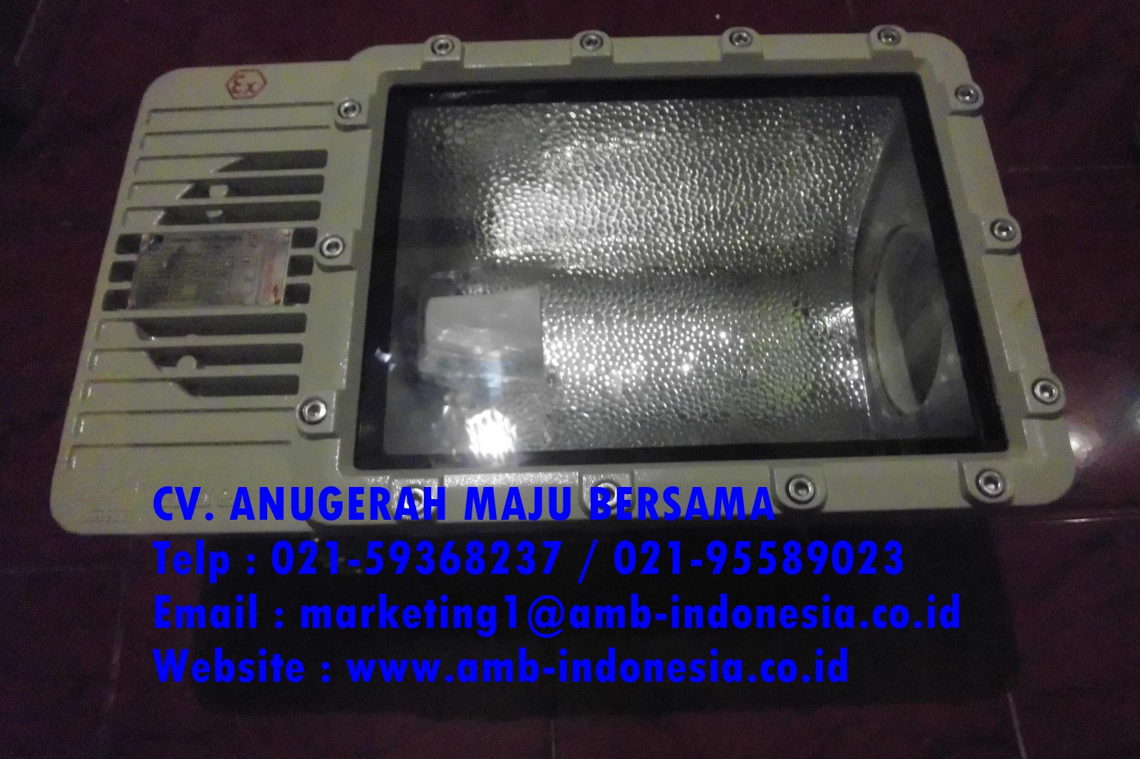 Supplier Explosion Proof: Jual Lampu Sorot Floodlight HPS Explosion ...