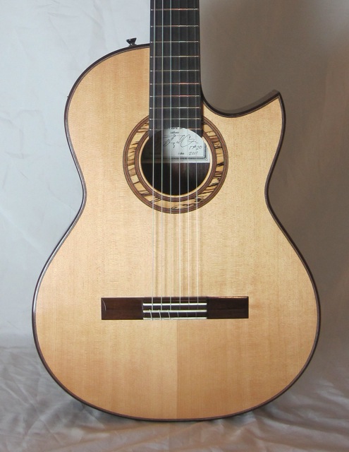 Luis Fernández de Córdoba, luthier: For Sale: Guitar No. 20, Stage ...