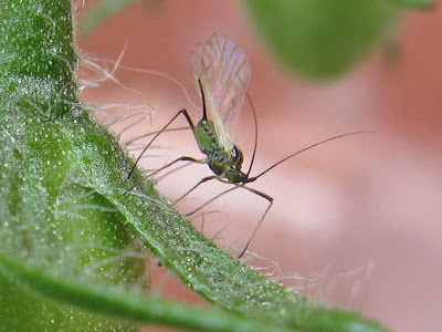 Inspiration by Deseos Design: 2011