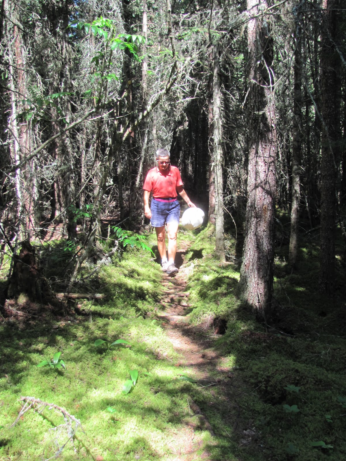 Cruising on M/V Monarch