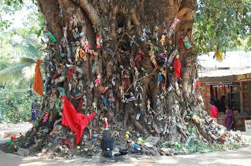 SRI'S NEWSLETTER: The Story of Chottanikkara Amma and the Yakshi.