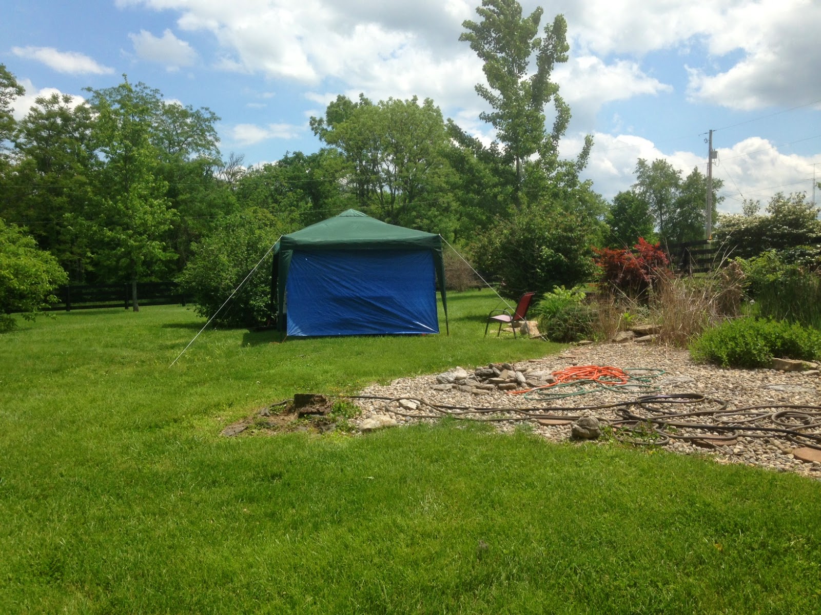 1 Acre Farm - Urban Farming in Louisville Kentucky: Another Year's ...