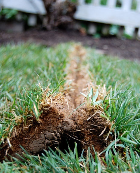 Staghorn NYC blog: How To Lay Sod