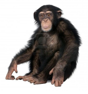 LA CLASE DE MIREN: mis experiencias en el aula: COMENZAMOS EL PROYECTO ...