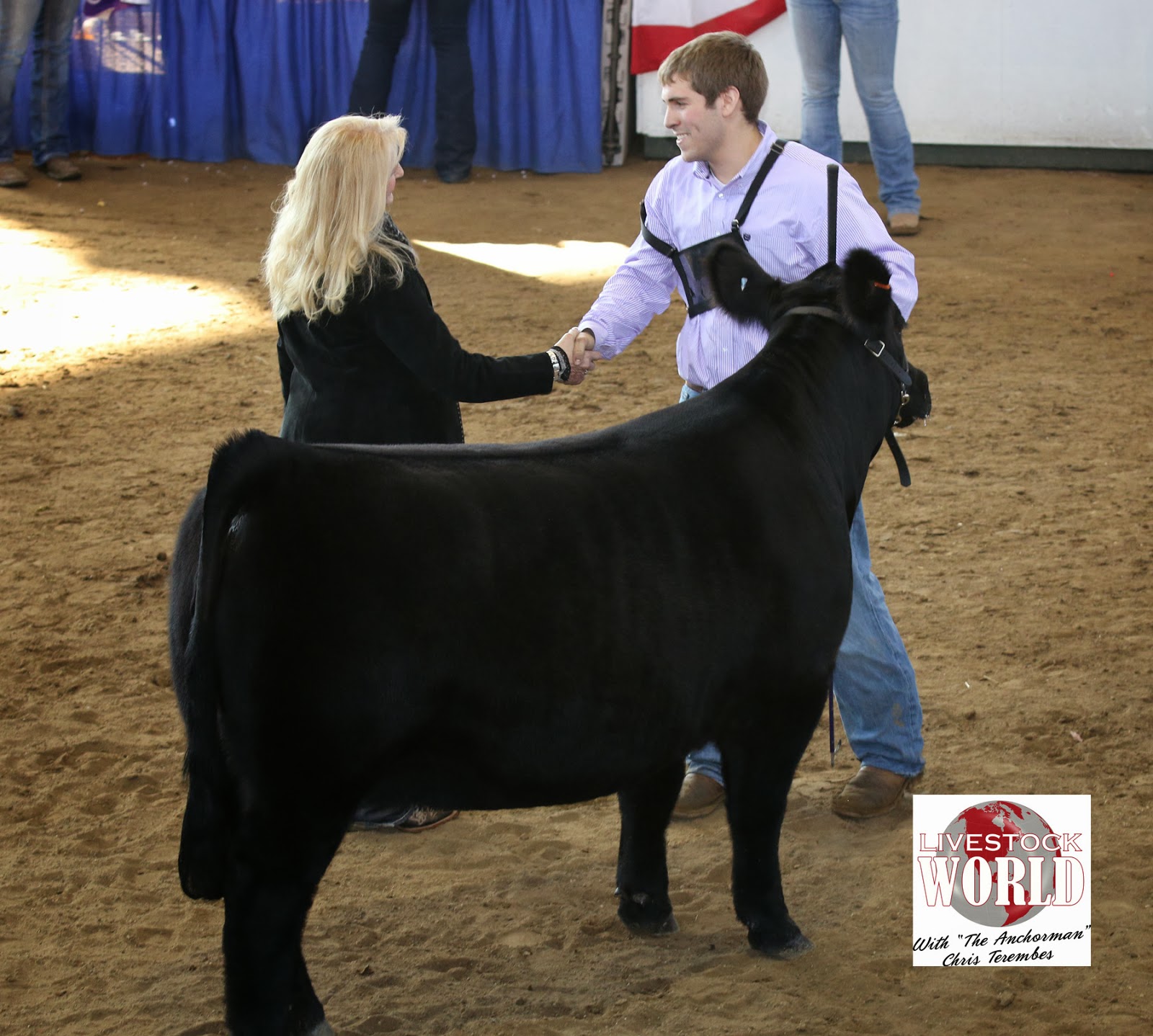 Executive Sires, Inc.: 2014 Iowa Beef Expo - Champion Simmental Females