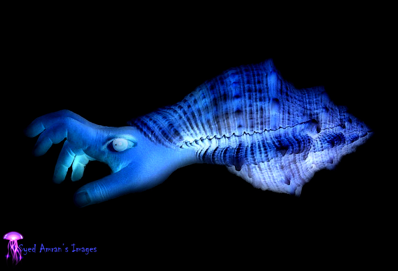 Agar Aku Tidak Lupa: DIY MINI STUDIO PHOTOGRAPHY - DEEP SEA CREATURE