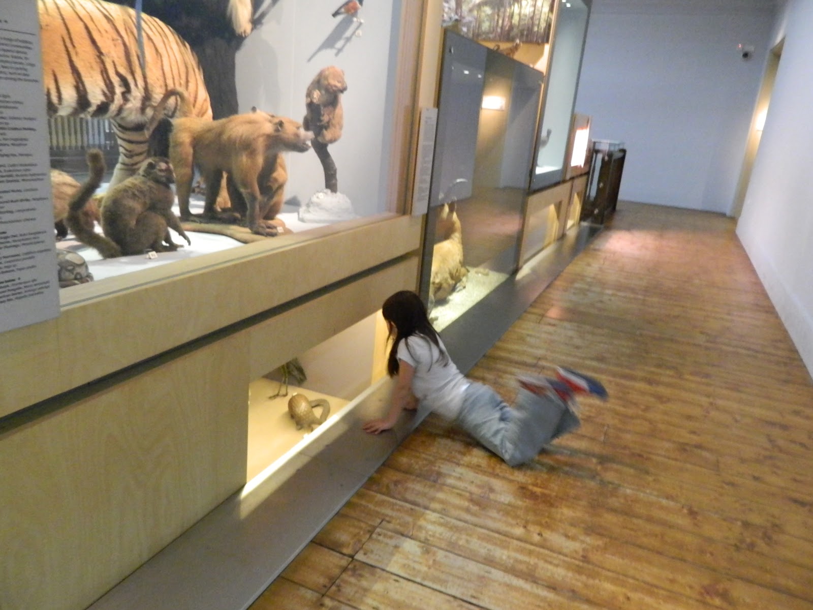 amandauniquely: The Hancock Museum