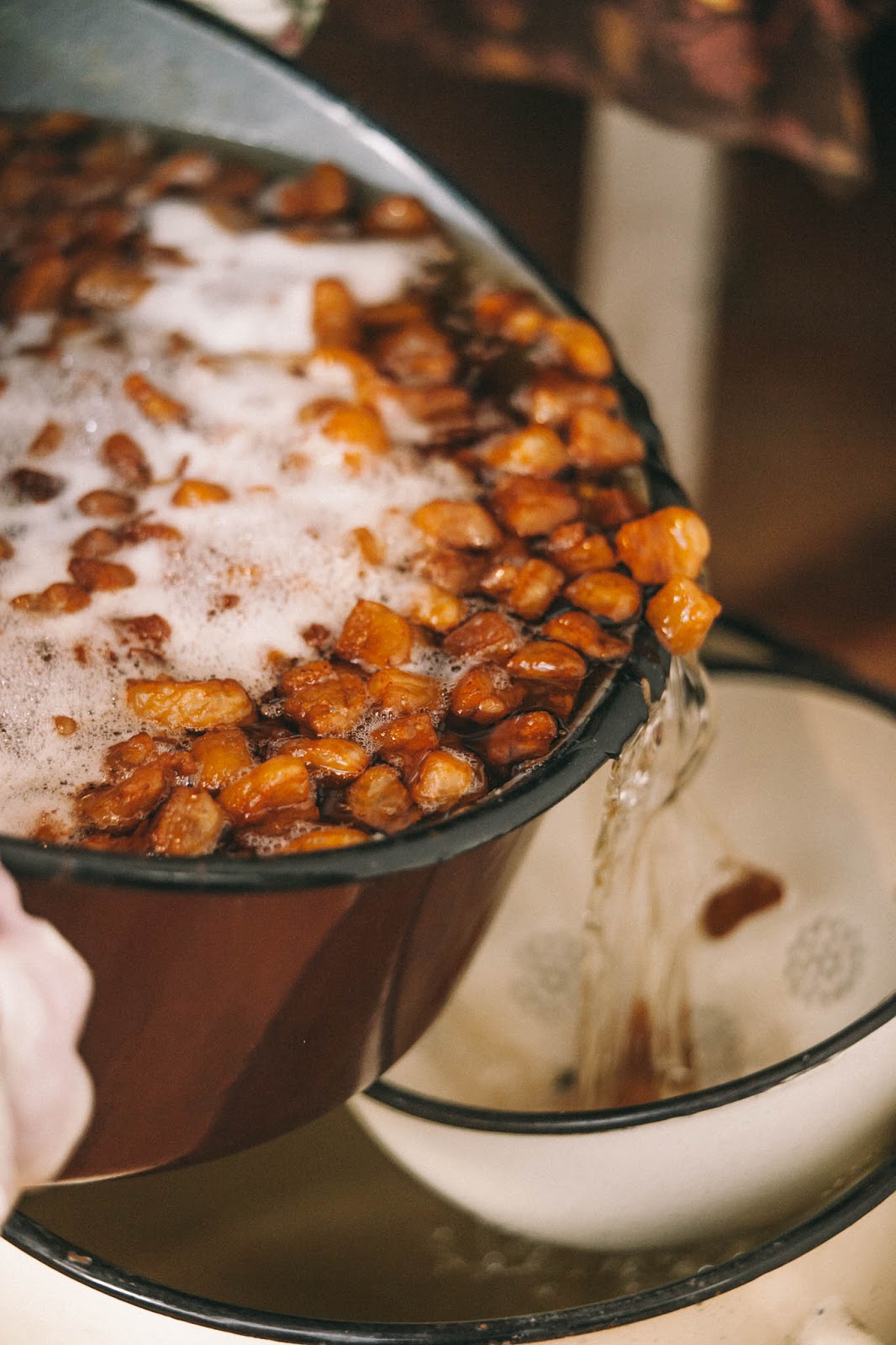 Forking Croatia: Čvarci, brizle i bijeli bubrezi